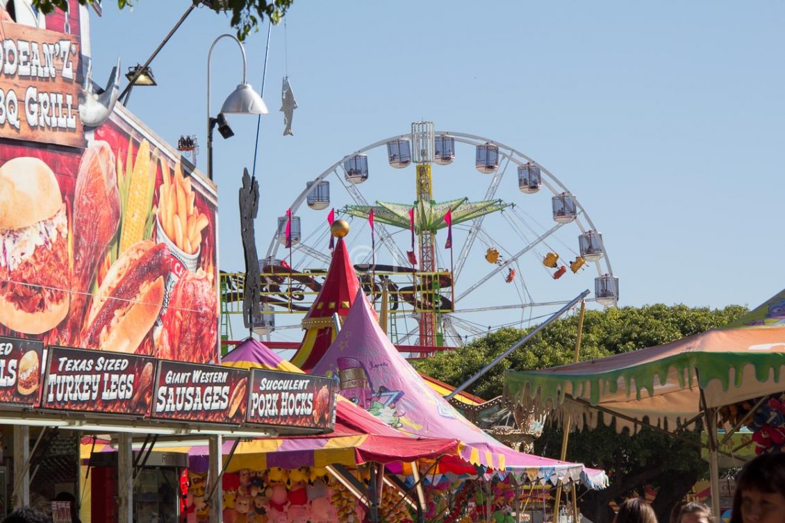 Winter in Brisbane 14 things to know and do - Economy Traveller