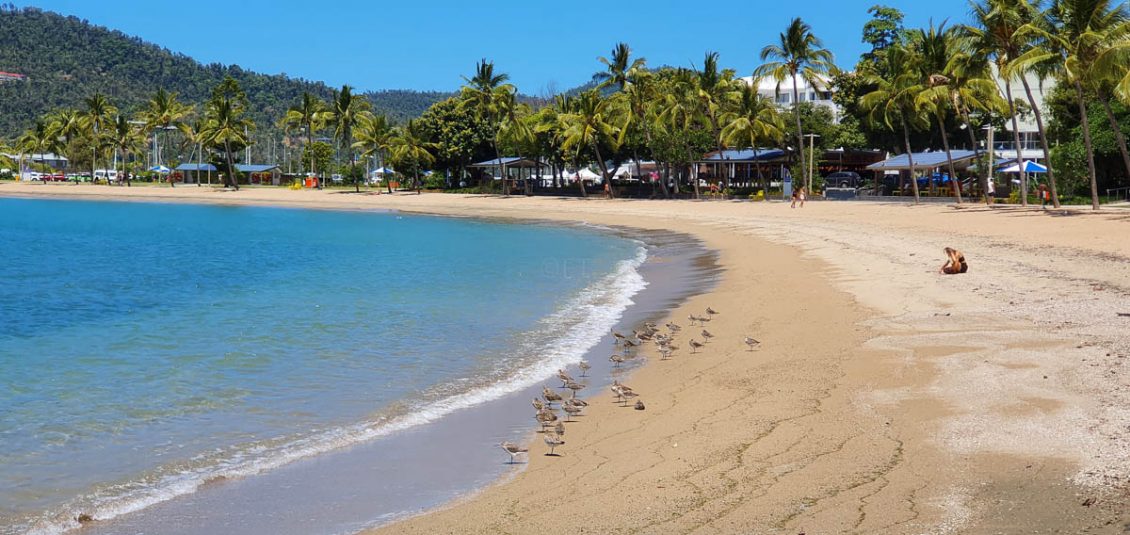 Revenge travel is a real thing! - Economy Traveller